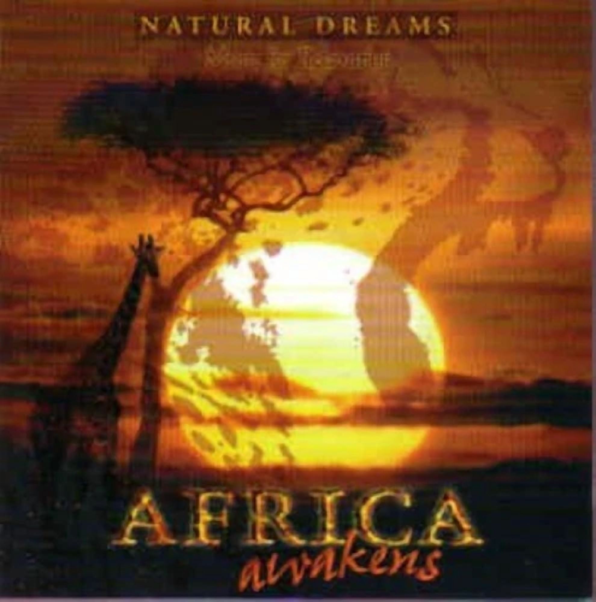 Africa Awakens - Music for Relaxation - Music CD - - - INDI - Very Good ...
