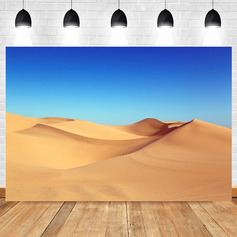 Africa Desert Photography Backdrop Egyptian Pyramid Desert Sand Dunes ...