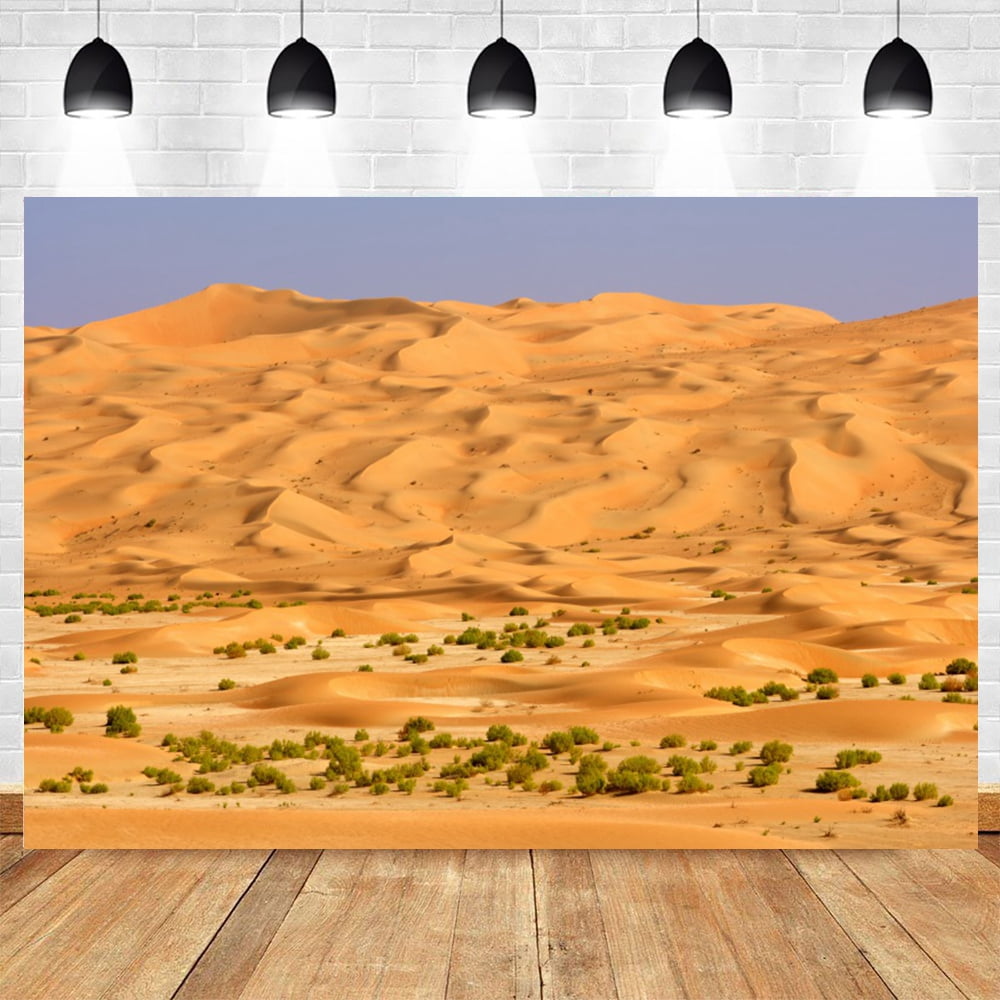 Africa Desert Photography Backdrop Egyptian Pyramid Desert Sand Dunes ...