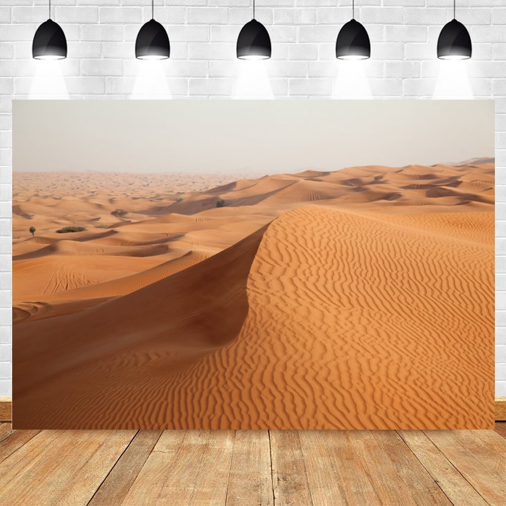 Africa Desert Photography Backdrop Egyptian Pyramid Desert Sand Dunes ...