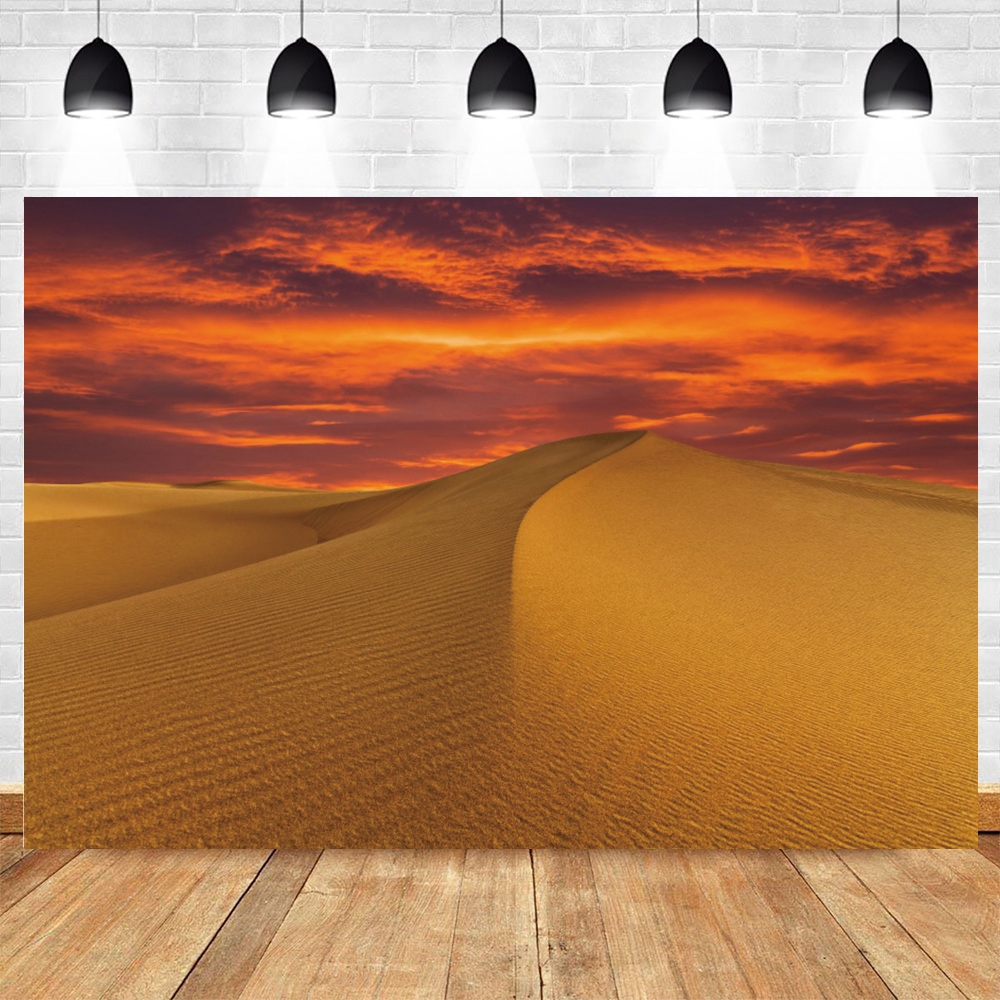 Africa Desert Photography Backdrop Egyptian Pyramid Desert Sand Dunes ...