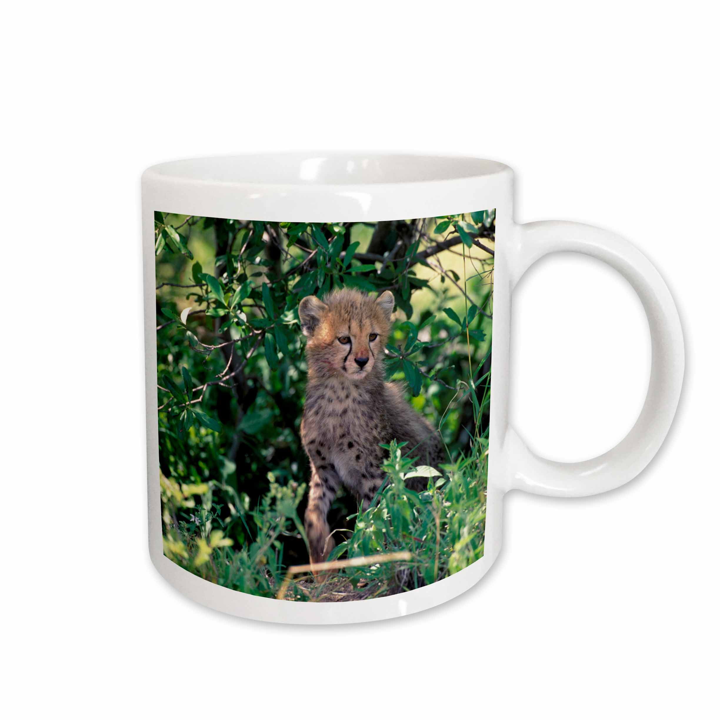 3drose, Africa, Kenya, Masai Mara Game Reserve. Cheetah Cub-af42 ...