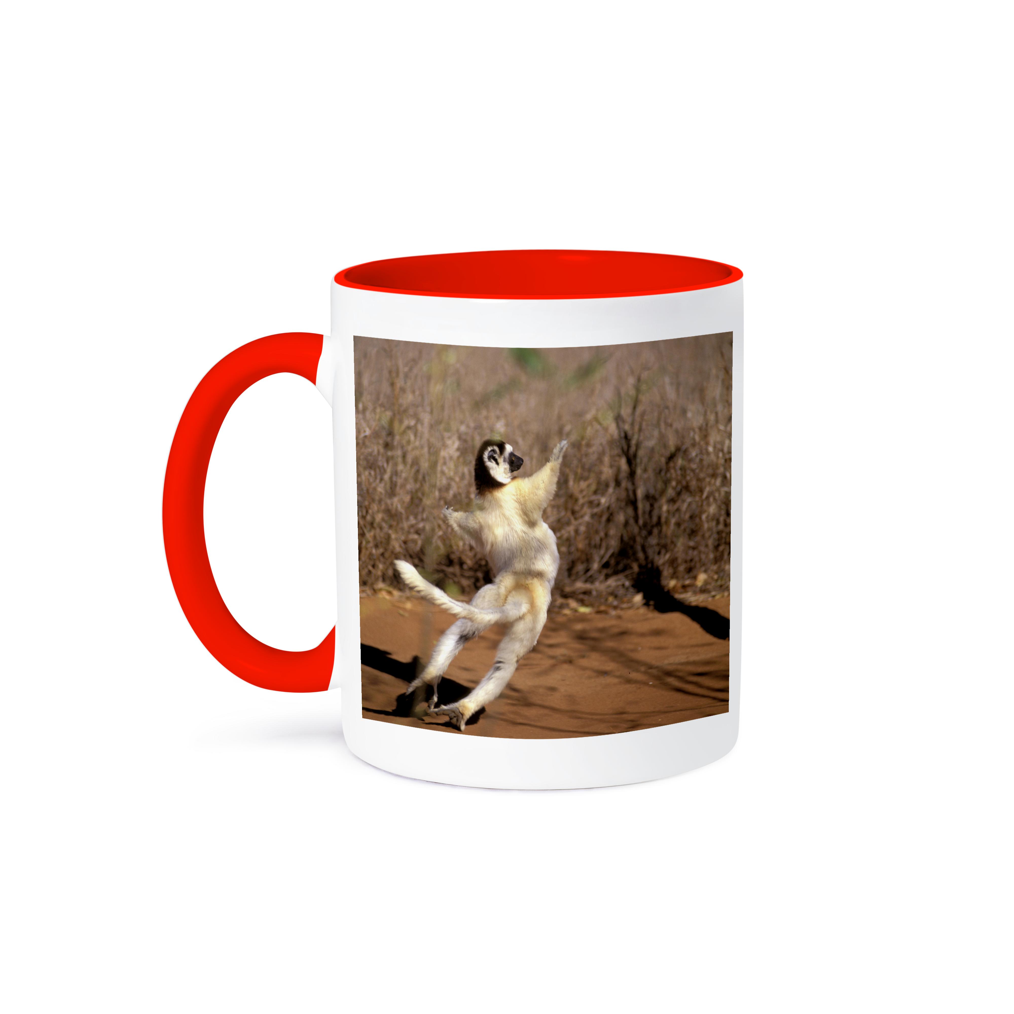 Africa, Madagascar, Berenty. Verreauxs Sifaka Primate-Af24 Pox0075 ...