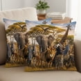 Africa Savannah Wildlife Pillow Covers Set of 2, Elephant Lion Zebra ...