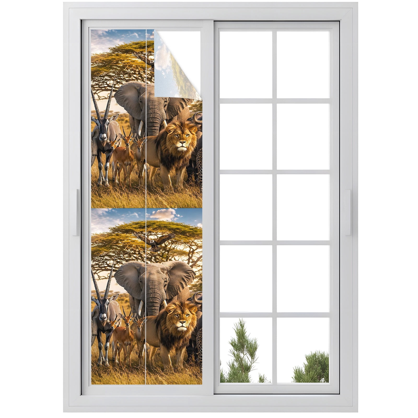 Africa Savannah Wildlife Window Privacy Film, Elephant Lion Zebra ...