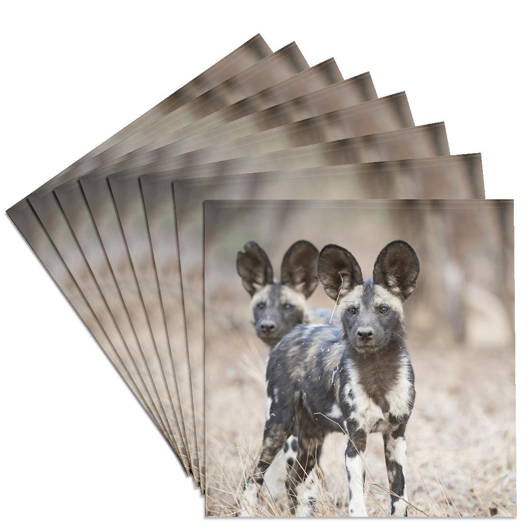 Africa, Zimbabwe, Mana Pools Np. Close-Up Of Wild Dogs., set of 8 ...