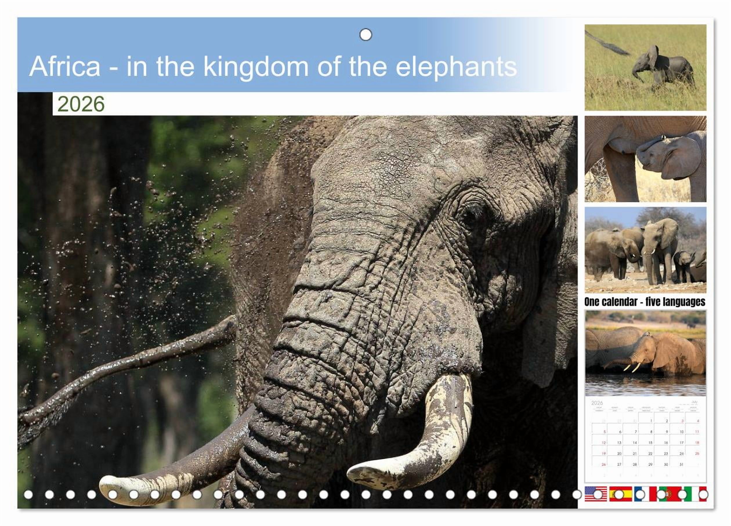Africa - in the kingdom of the elephants (Monthly Wall Calendar 2026 11 ...
