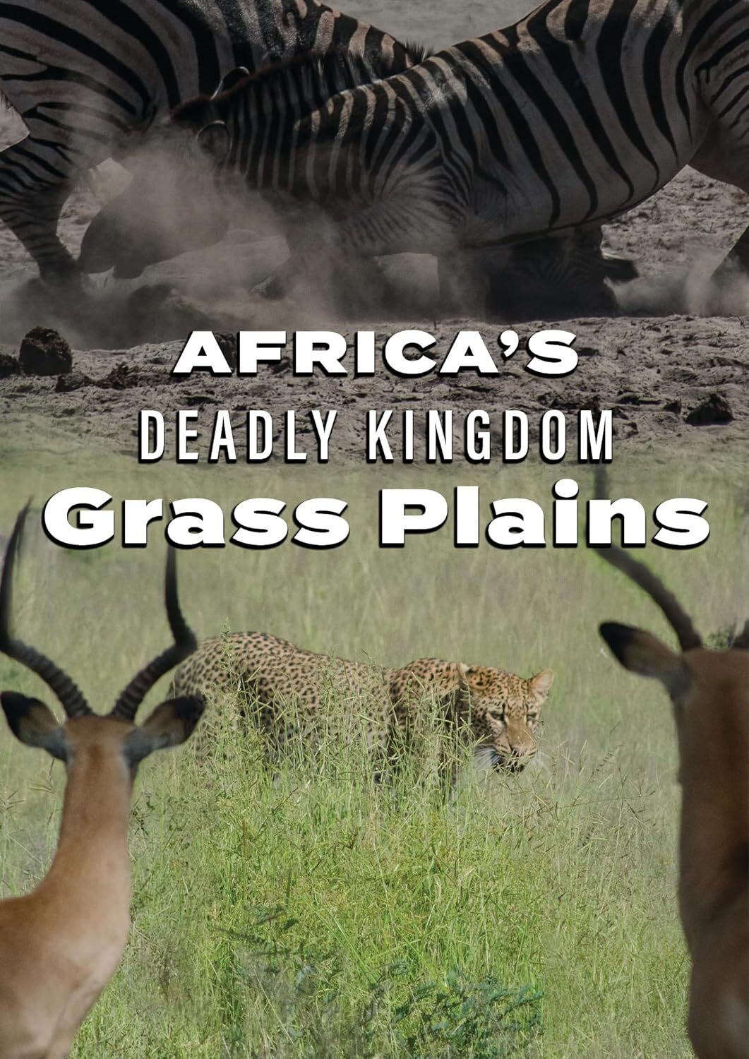 Africa's Deadly Kingdom: Grass Plains - Walmart.com