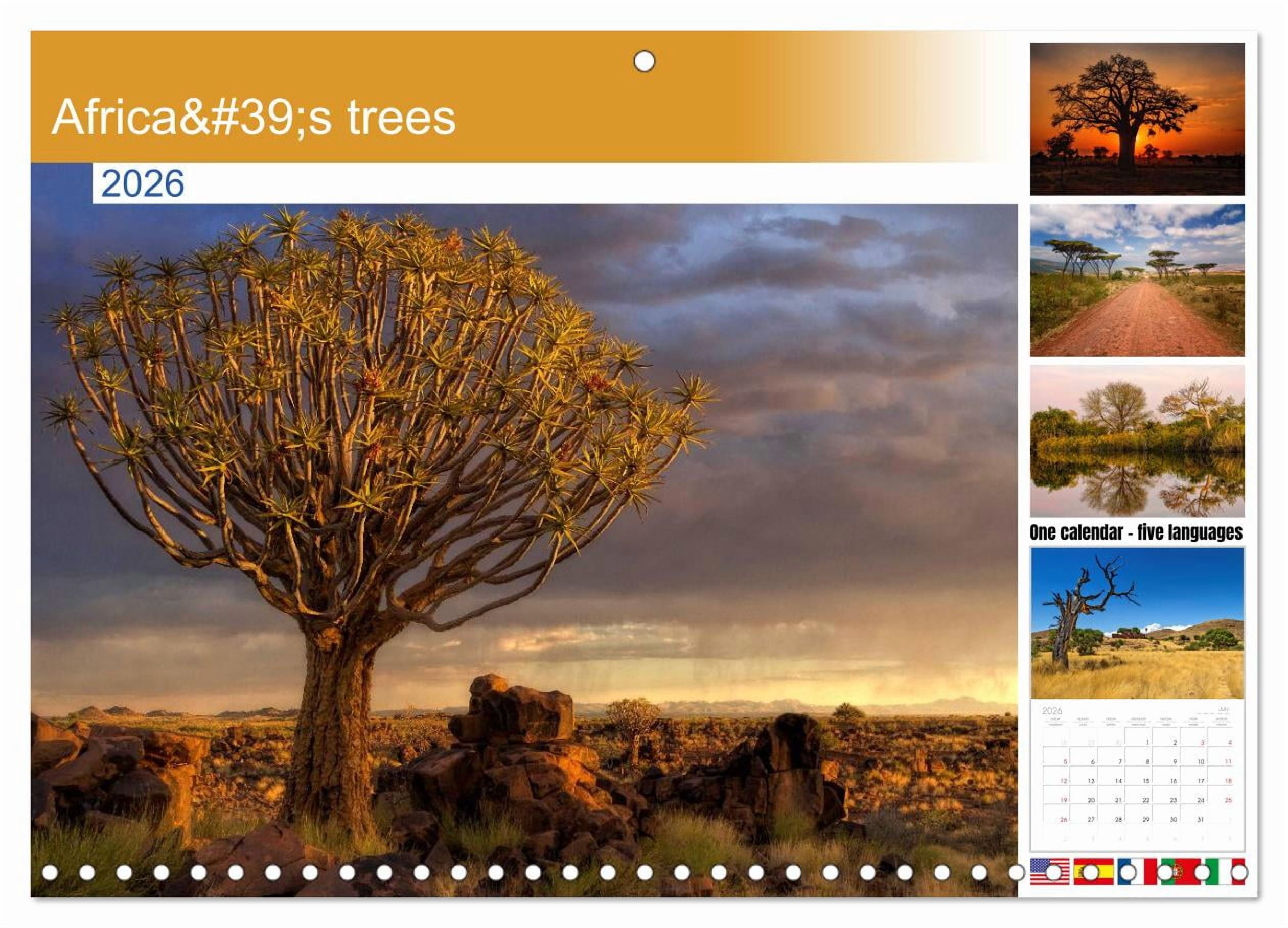 Africa's trees (Monthly Wall Calendar 2026 16.5 x 23.4 (open ...