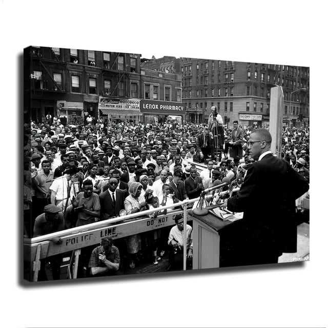 African American Civil Rights Activist Malcolm X Black Leader History ...