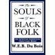 African American Heritage Book: The Souls of Black Folk (An African ...
