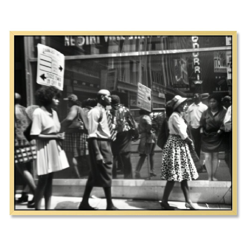 African Americans School Segregation Civil Rights Movement Poster Home ...