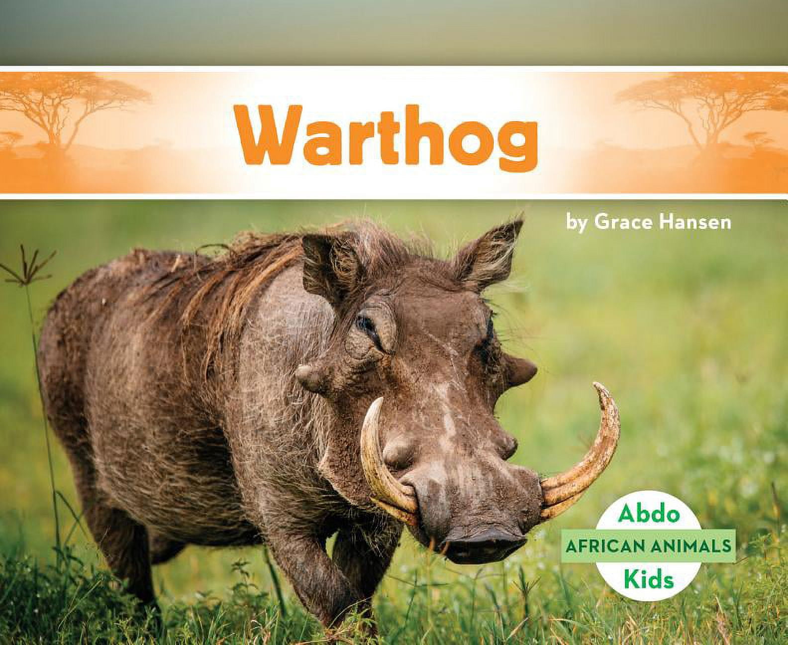 African Animals Warthog, (Hardcover) - Walmart.com