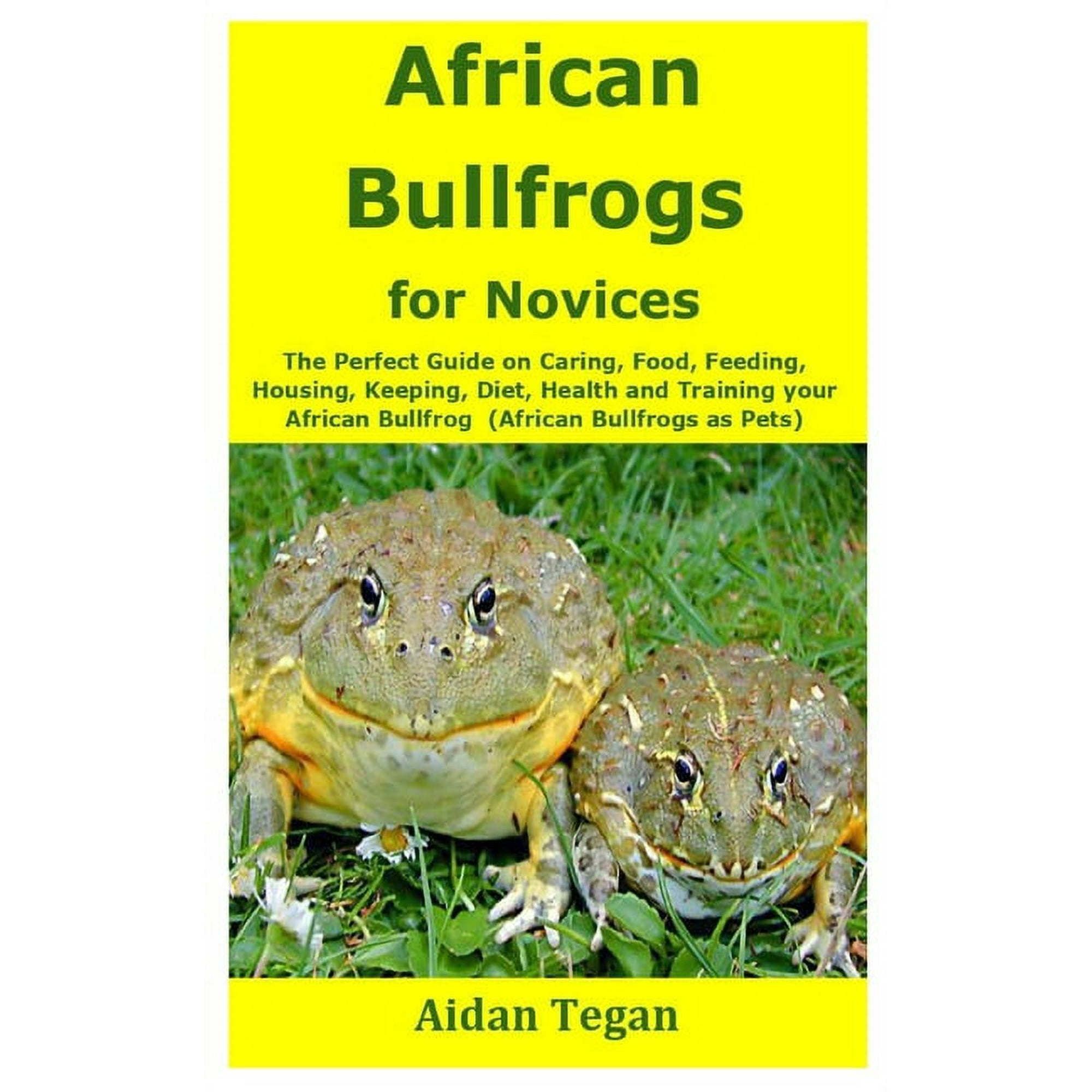 What To Feed Bullfrogs