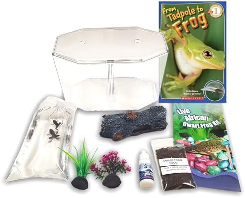 African Dwarf Frog Starter Kit- Includes Certificate for 2 Live Frogs ...