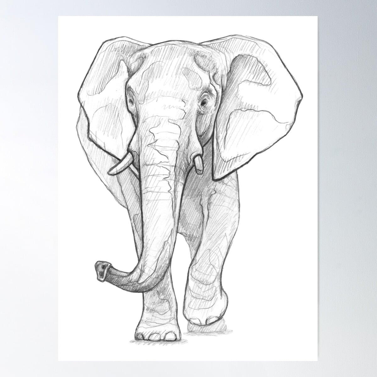 African Elephant - Art Illustration - Monochromatic Pencil Line Sketch ...
