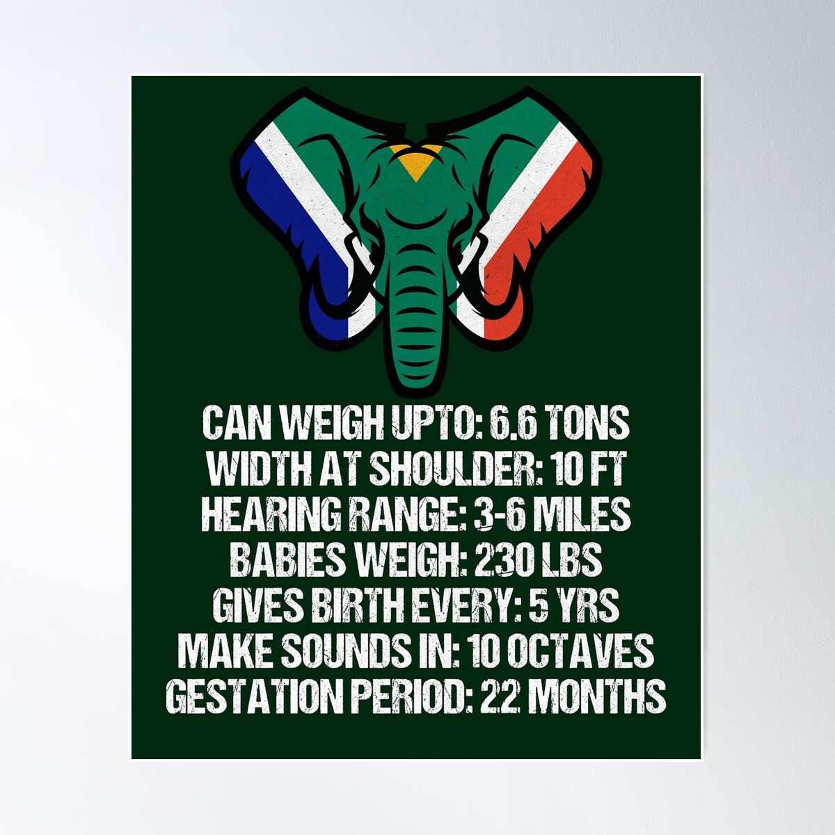African Elephant Facts Trivia Educational Art Poster Wall Art, Modern ...