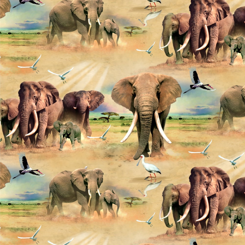 African Elephant Herd Pattern Premium Roll Gift Wrap Wrapping Paper ...