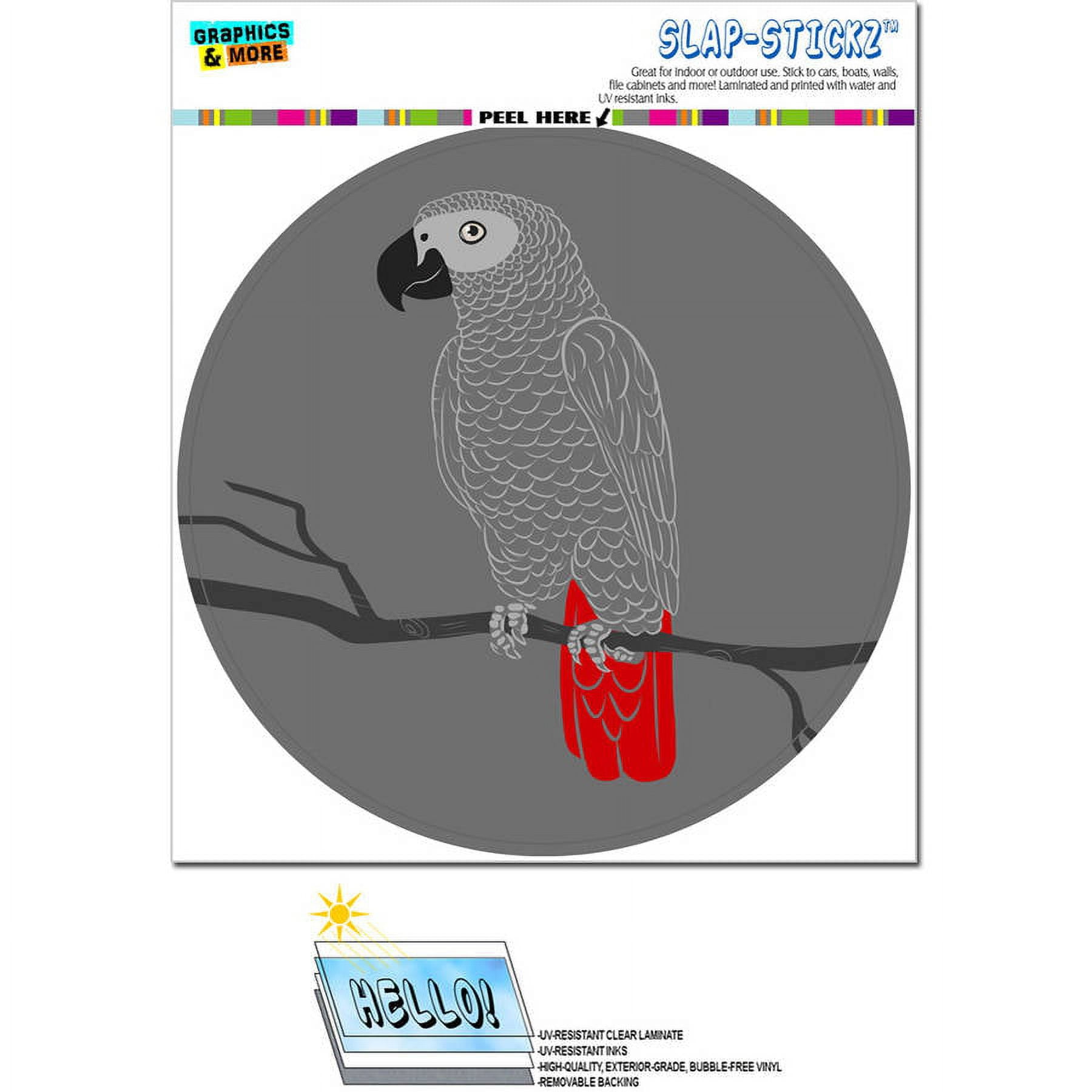 African Grey Bird Parrot Pet Circle Automotive Car Window Locker Bumper ...
