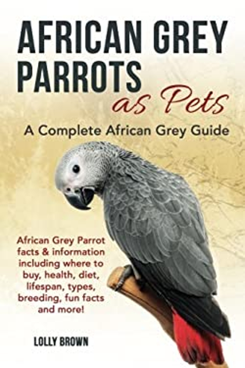 Pre-Owned African Grey Parrots as Pets: African Grey Parrot facts ...