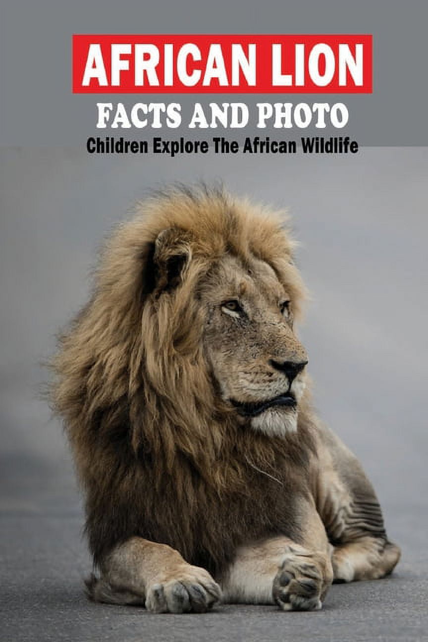 African Lion Facts And Photo _ Children Explore The African Wildlife ...
