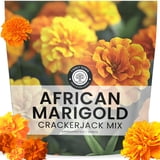 African Marigold CrackerjackITSC - Large 1 Ounce Packet - 10,000 Flower ...