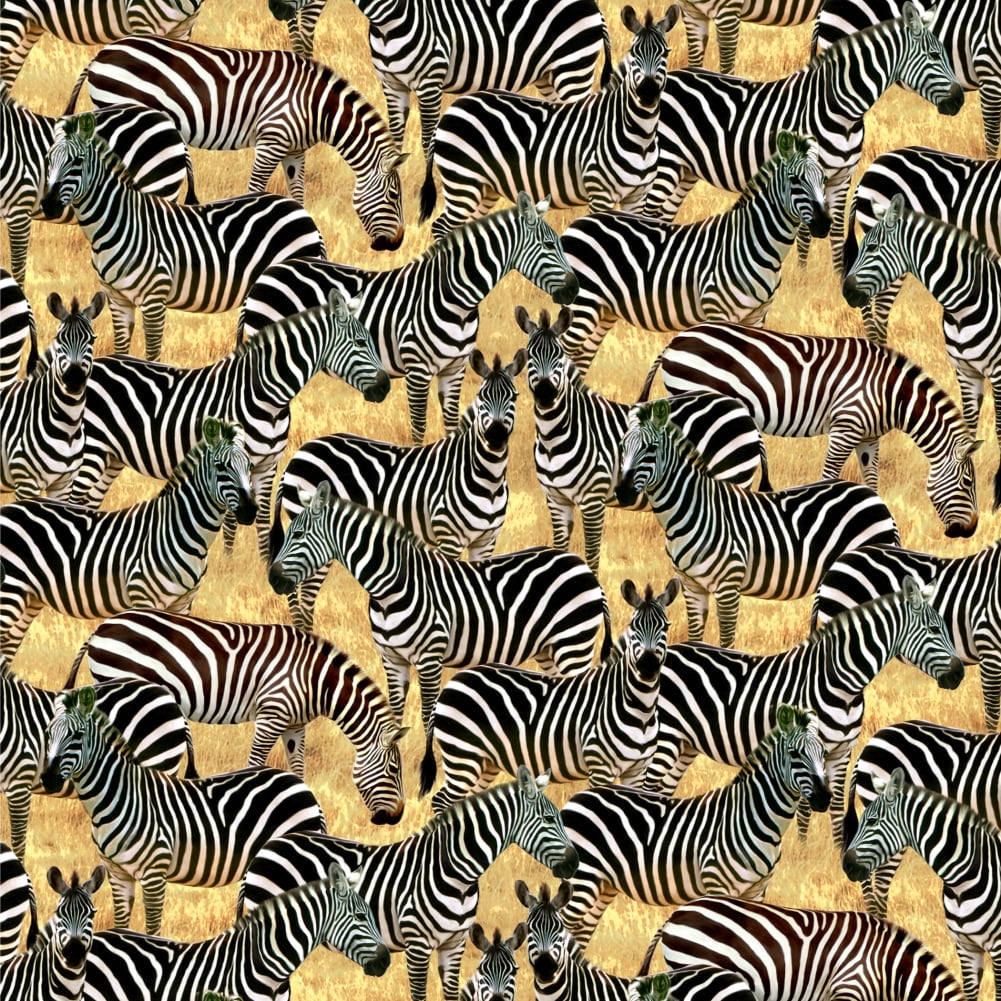 African Plains Zebra Herd Grazing Pattern Premium Roll Gift Wrap ...