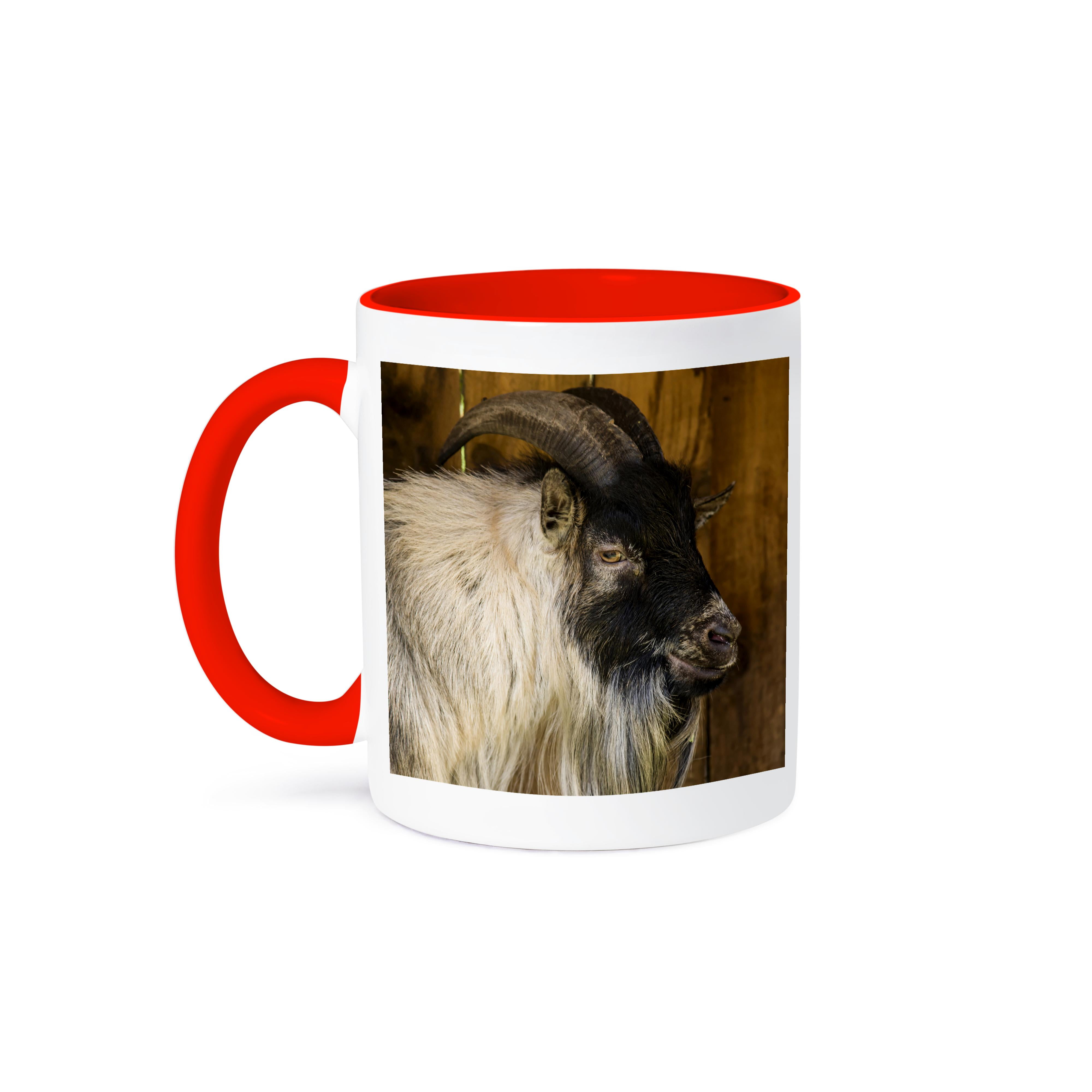 African Pygmy Goat Portrait. , 15oz Two-Tone Red Mug - Walmart.com