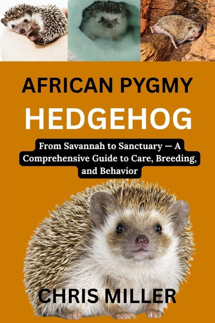 African Pygmy Hedgehog: From Savannah to Sanctuary - A Comprehensive ...