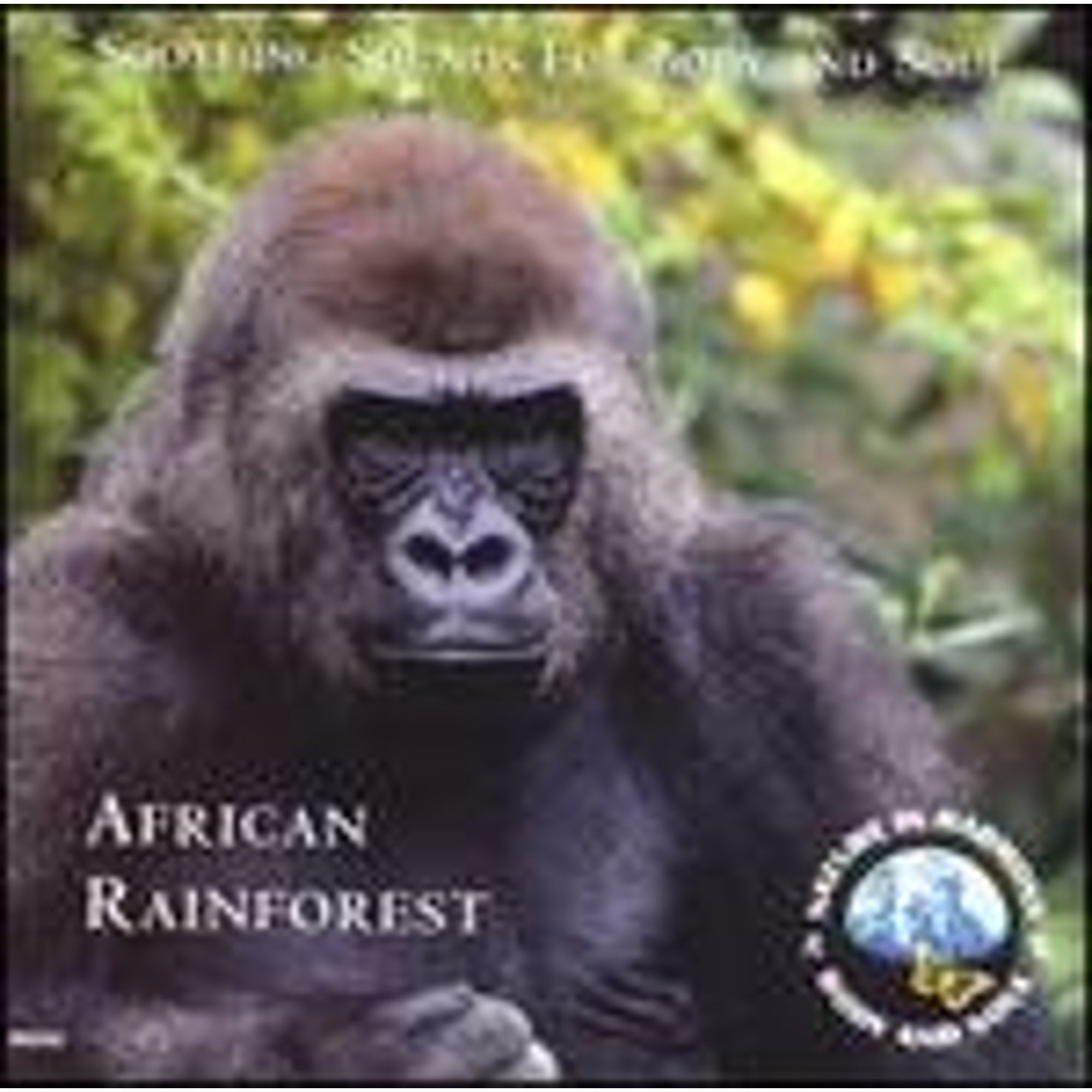 Pre-Owned African Rainforest (CD 0096009102524) by Various Artists - Walmart.com