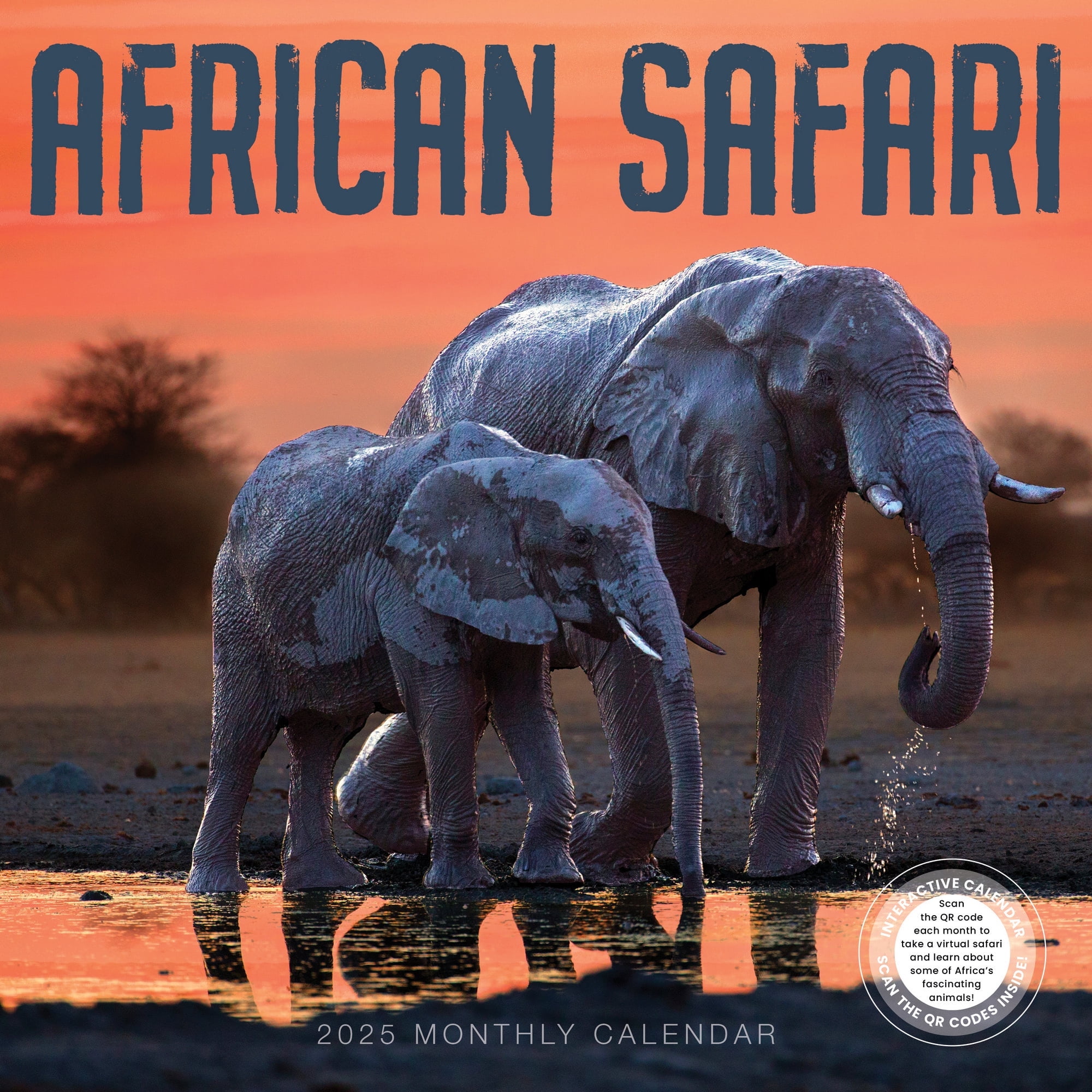 African Safari Calendar 2025 | Africa 12" x 24" Animal Wall Calendar 12 ...