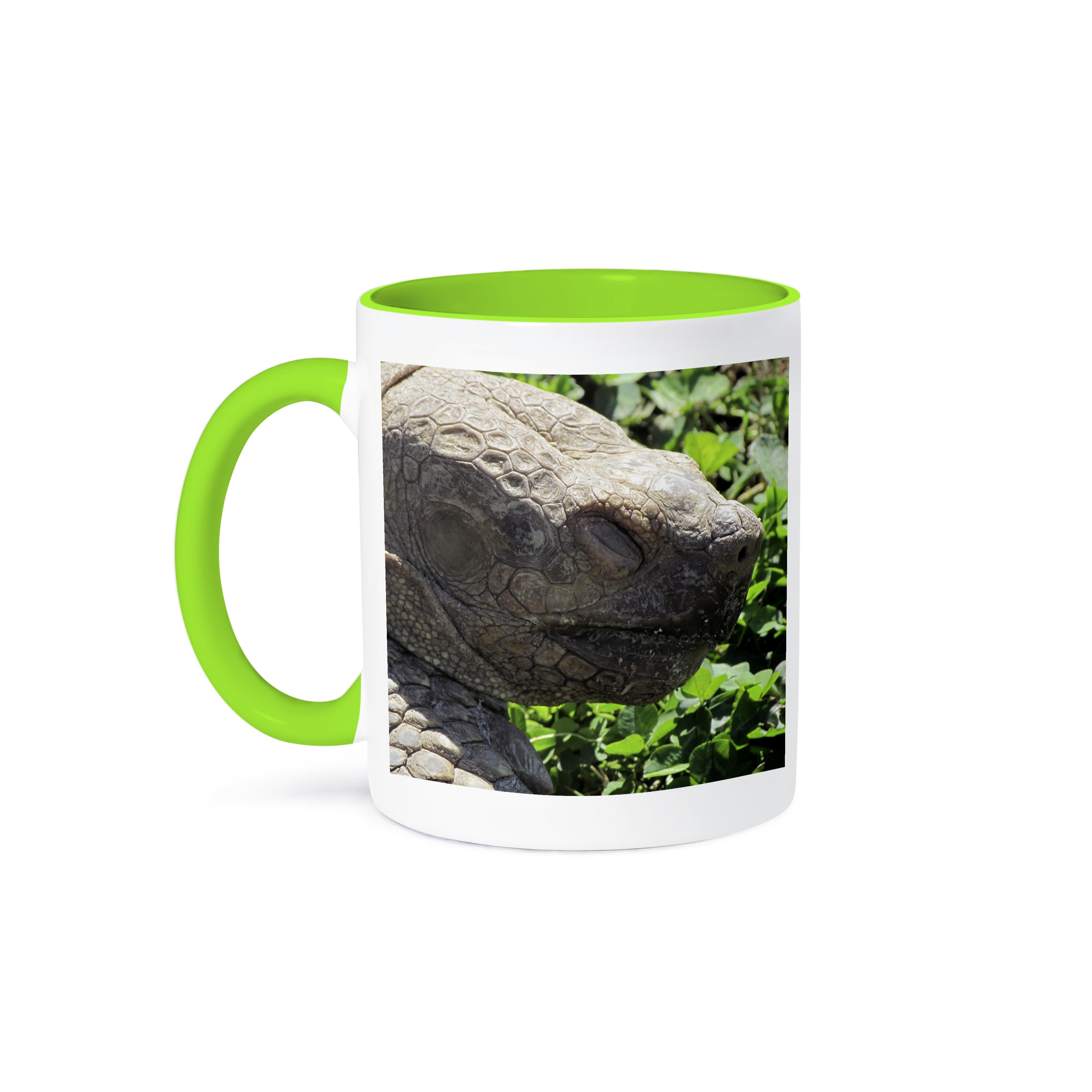 African Spurred Tortoise Profile Face, 11oz Two-Tone Green Mug ...