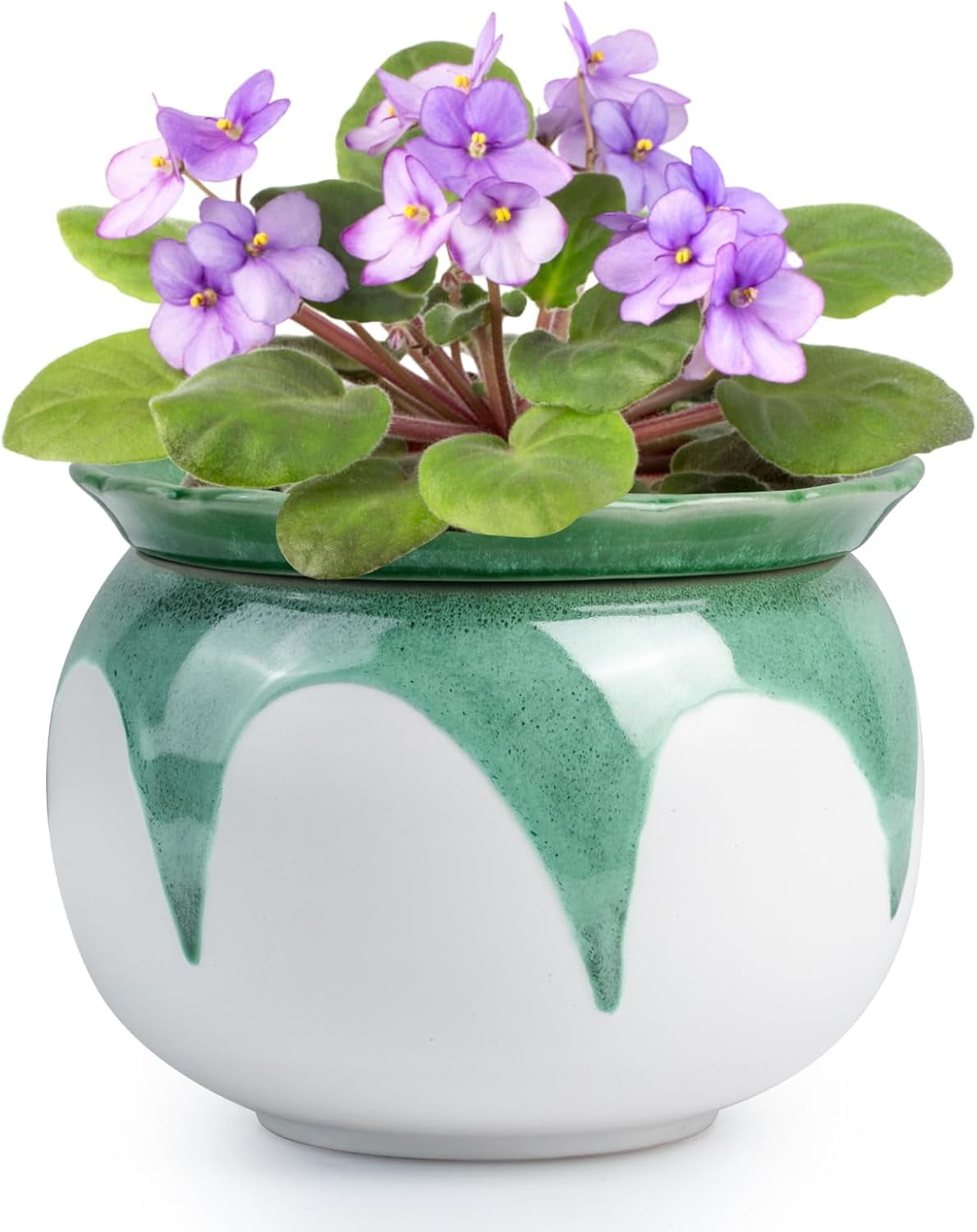 African Violet Pots, 6 inch Ceramic Easy Self Watering Plant Pot for Busy Plant Lovers ...