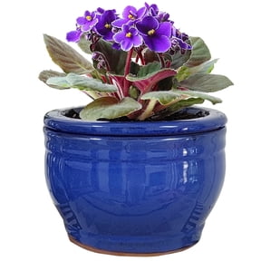 African Violet Pots