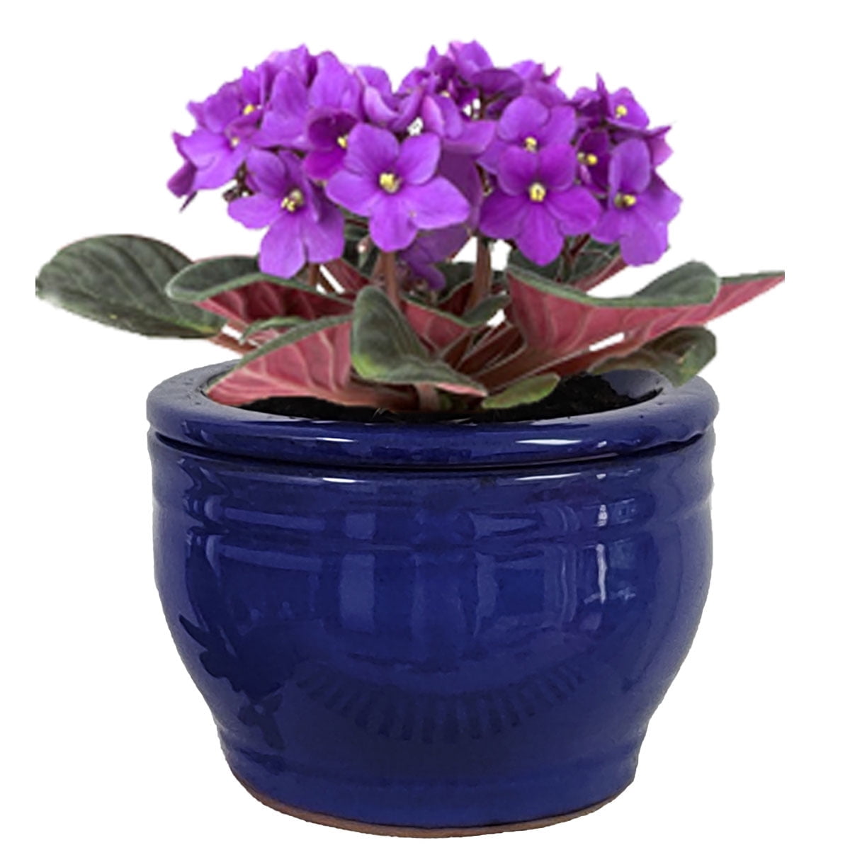 African Violet Pots 6 inch Ceramic Self Watering Pots - Walmart.com