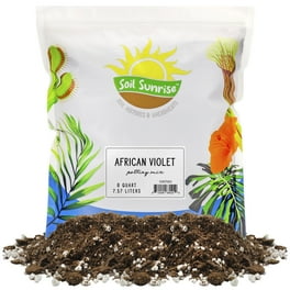 SunGro Black Gold Organic African Violet Indoor Planting Soil Mix 8 Quart Bag Walmart