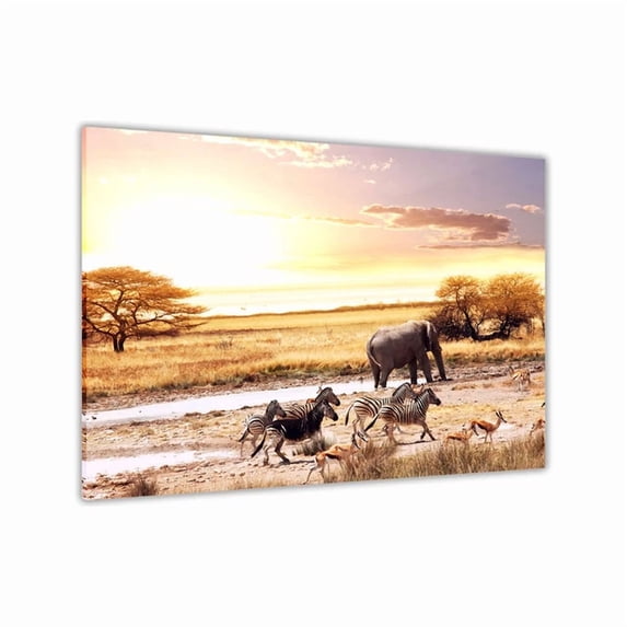 African Wild Animals Wall Art Picture Print Home Decor Art Home Decor ...