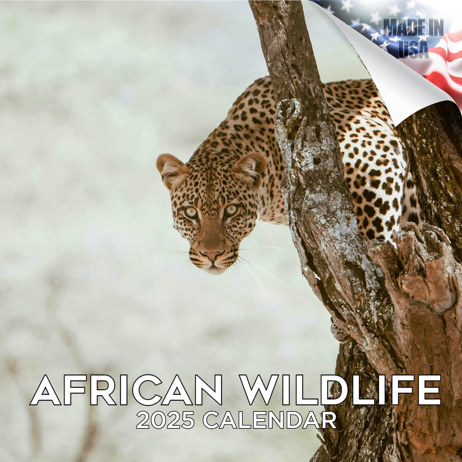 2024 2025 African Wildlife Calendar - Wildlife Monthly Wall Calendar ...