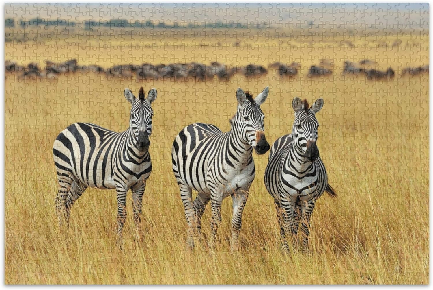 African Zebra - Zebras on Grassland Jigsaw Puzzles for Adults 1000 ...