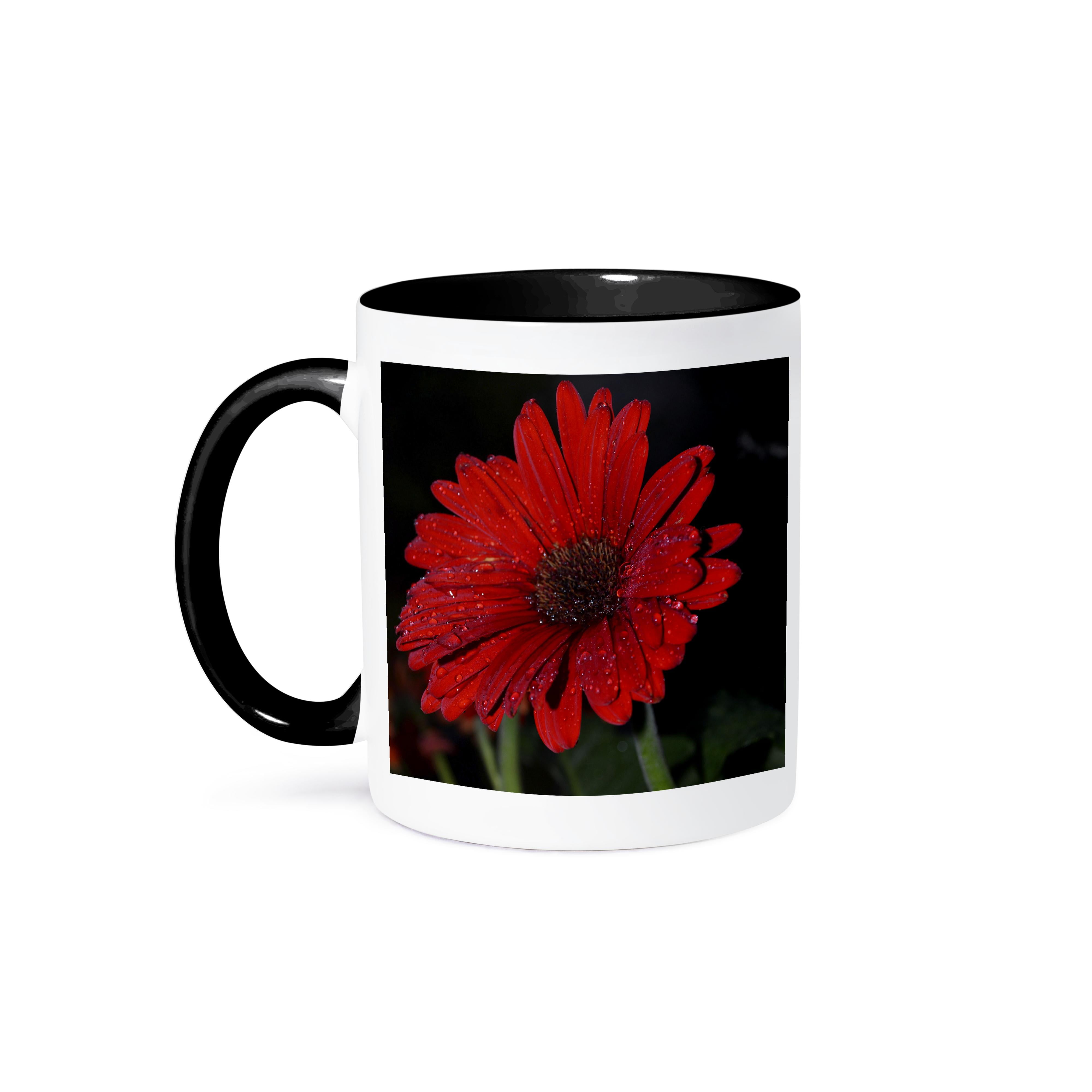 After Rain - Red Gerbera Daisy, 11oz Two-Tone Black Mug - Walmart.com