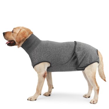 Qbleev Recovery Suit for Dogs After Surgery,Pet Cone E-Collar Bandages ...
