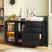 Rolling 2-Drawer Wood File Cabinet, Large Mobile Lateral Filing Cabinet ...