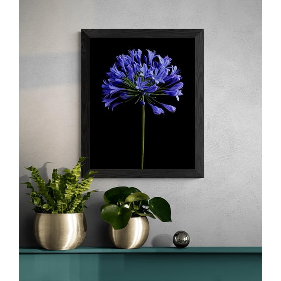 Agapanthus Flower Artwork, Moody Floral Wall Art, Unframed Paper Poster ...