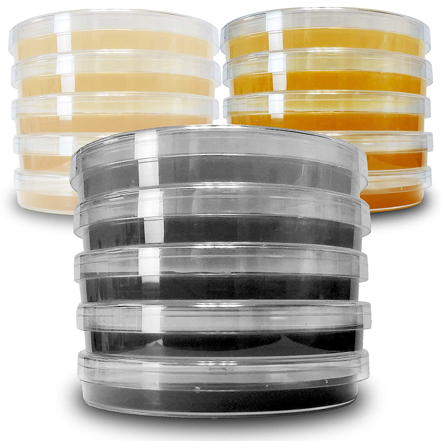 Agar Variety Kit By Evviva Sciences - Prepoured Potato Dextrose Agar ...