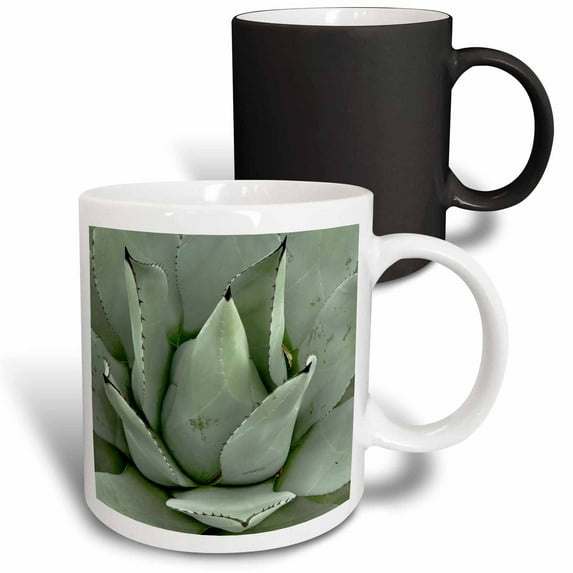 3drose, Agave Plant Pattern, Flora - Na01 Aje0124 - Adam Jones, 11oz Magic Transforming Mug ...