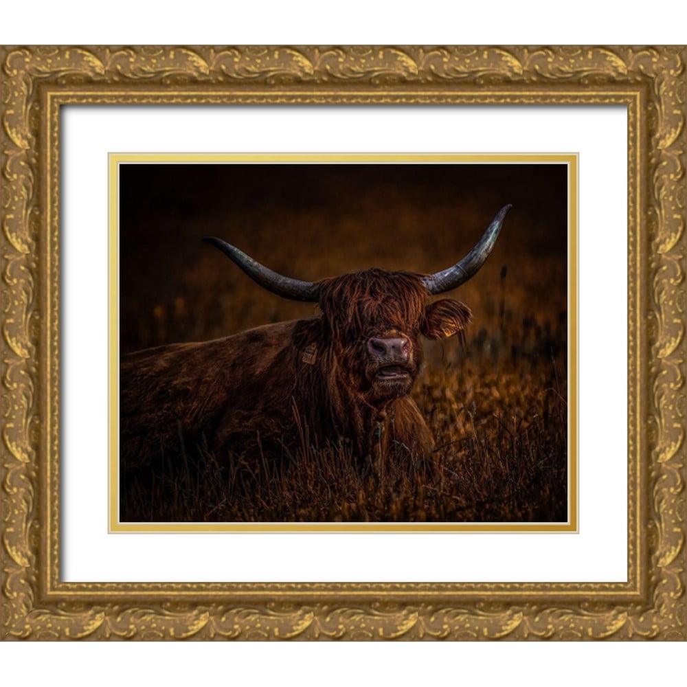 Agazzi, Andreas 14x12 Gold Ornate Wood Framed with Double Matting ...