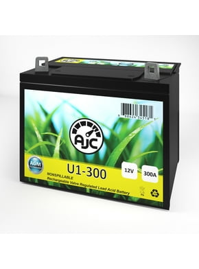All 6 Volt Batteries in 6 Volt Batteries - Walmart.com