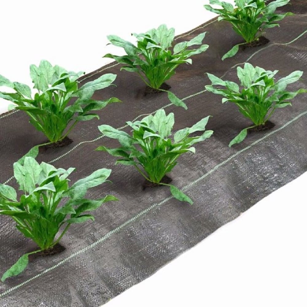 Agfabric Easy-Plant Weed Block 3.0oz, 3'x12',with Planting Hole Dia 4 ...