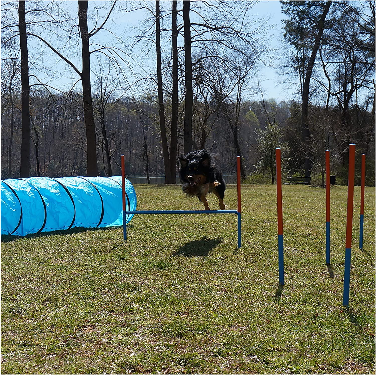 Agility Set - Dog Agility Equipment - 1 Dog Tunnel, 6 Weave Poles, 1 ...