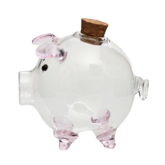 Agiufgs Glass Piggy Bank 6 X 2.76 in Cute Large Capacity, Clear ...